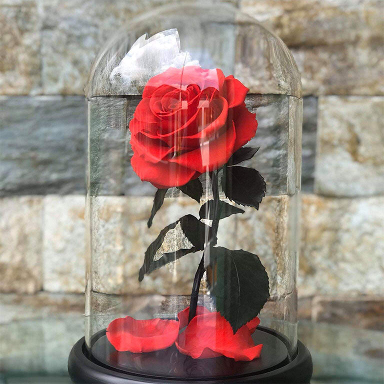 Preserved Flower In Glass Dome